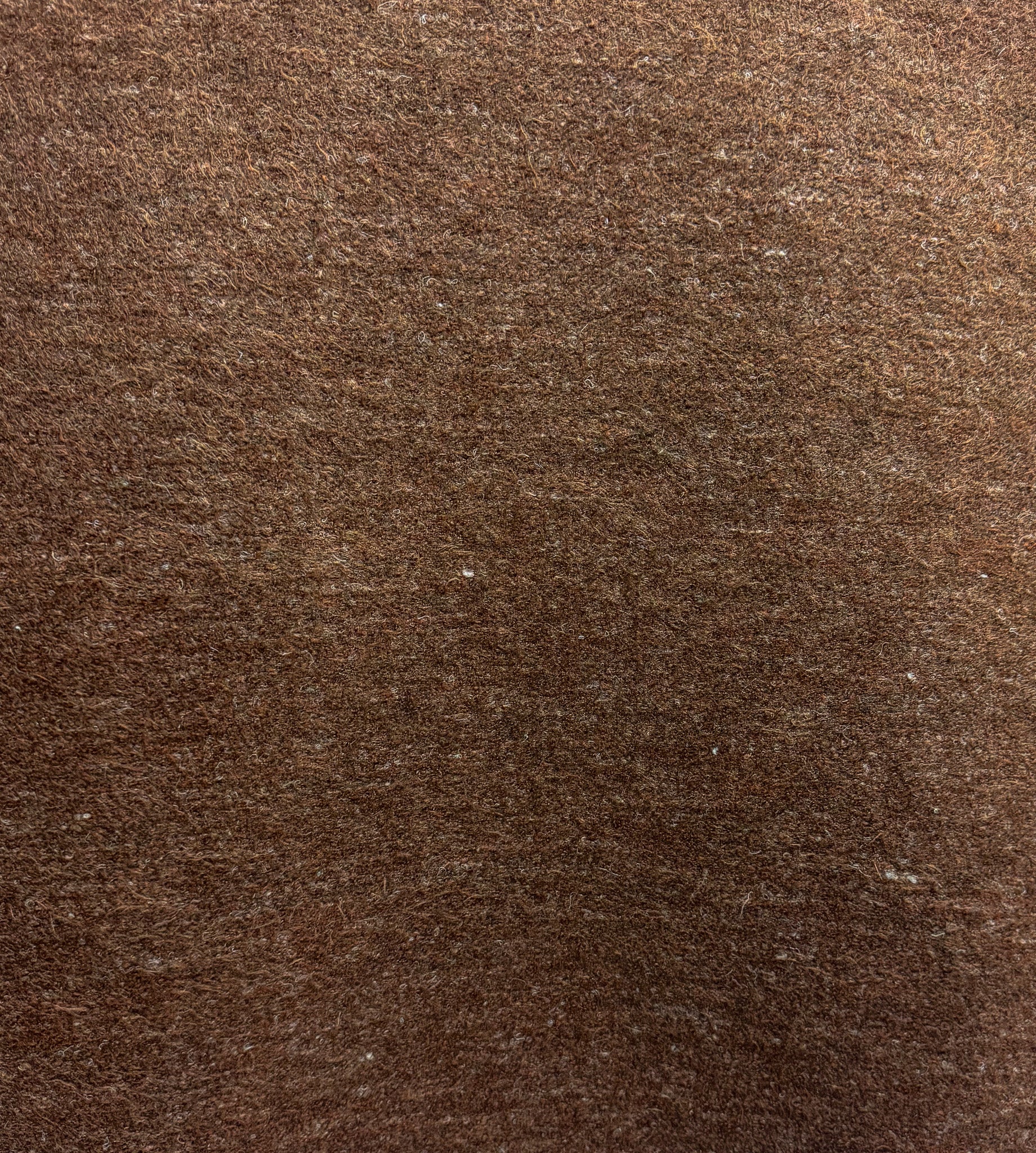 Cuddles - Whiskey – King Cotton Fabrics